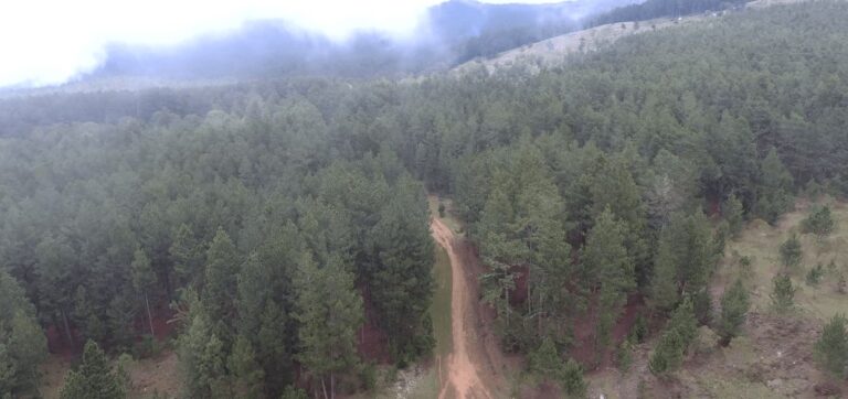 Parc national La Visite – Karibiodiv