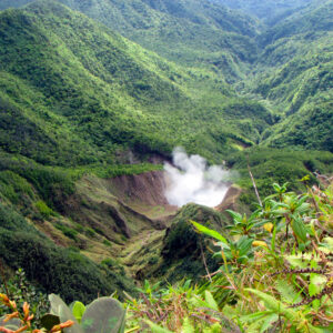 Étang de Miragoâne – Karibiodiv