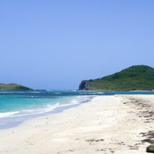 Parc national naturel Macaya – Karibiodiv