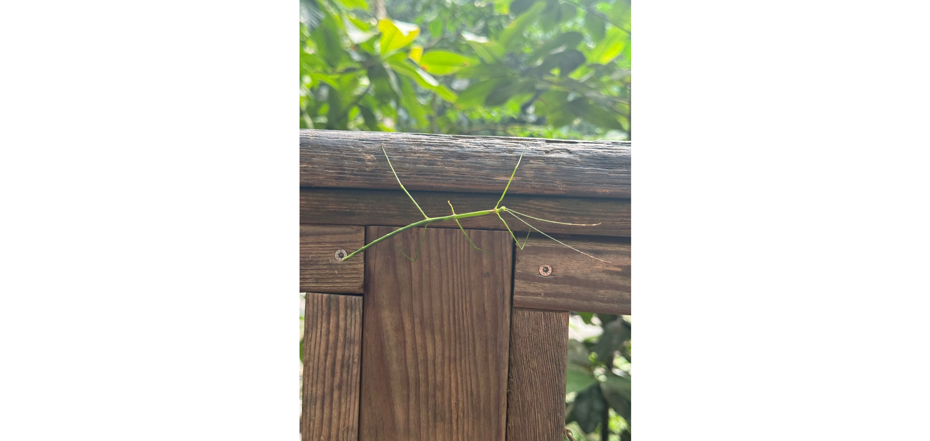 Parc national La Visite – Karibiodiv